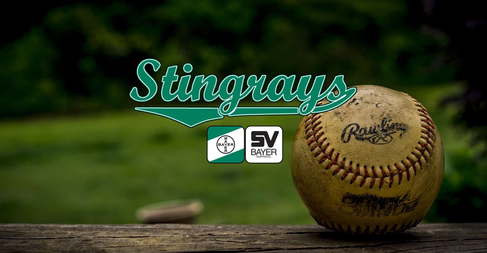 Baseball Gründungsmitglied Prof. Dr. Wolf-Dieter Busse verstorben - Wuppertal Stingrays